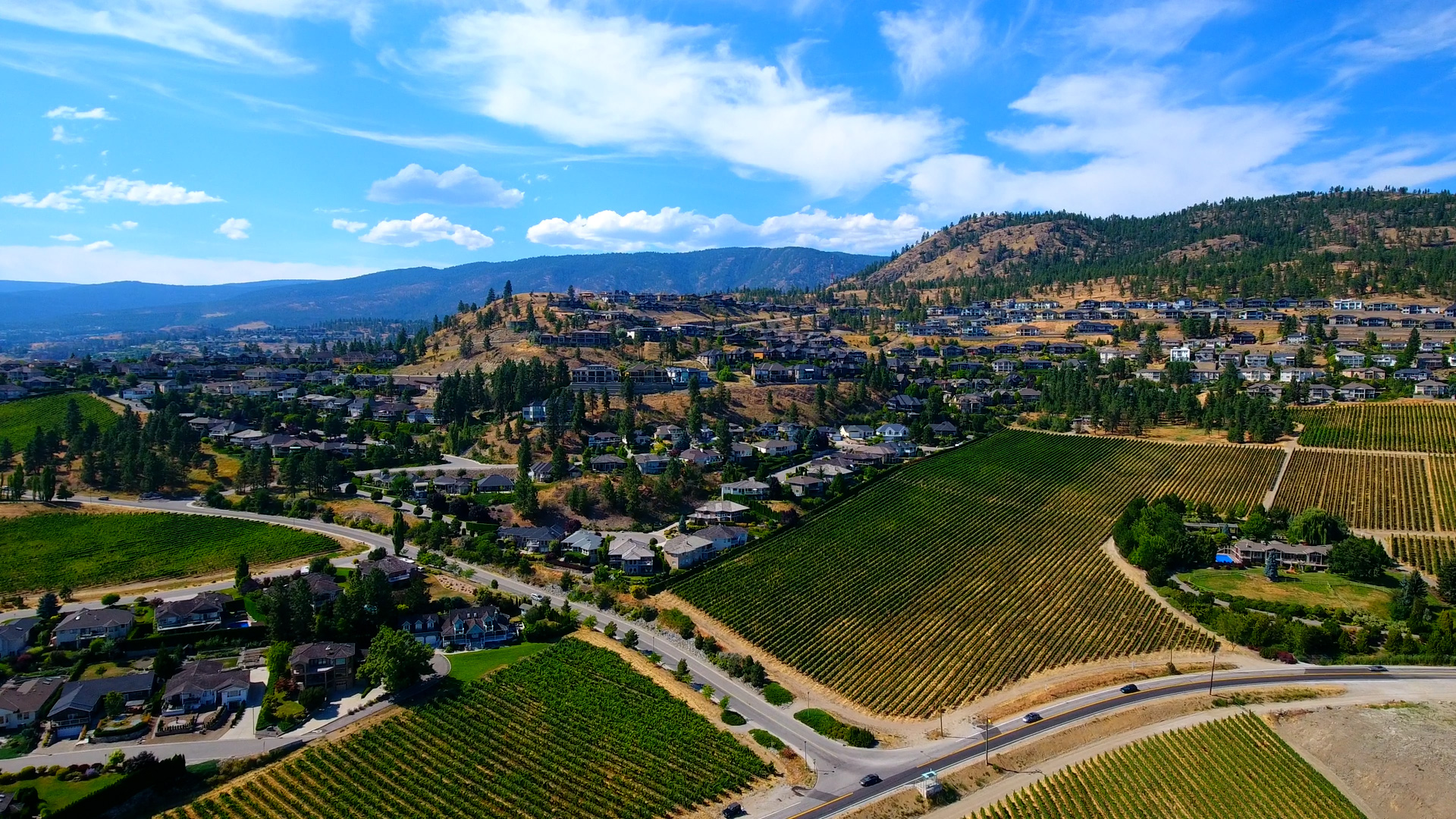 Pushor Mitchell - Kelowna, BC Lawyers | Okanagan Law Firm